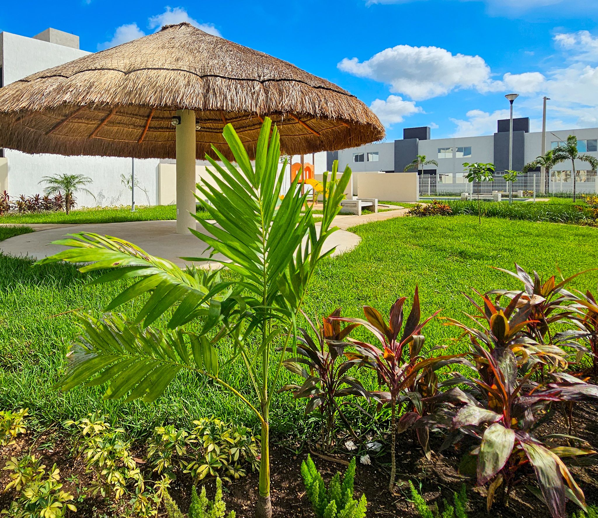 Colocan la primera piedra del parque Xiimbal en Privadas Sacbé, un ...